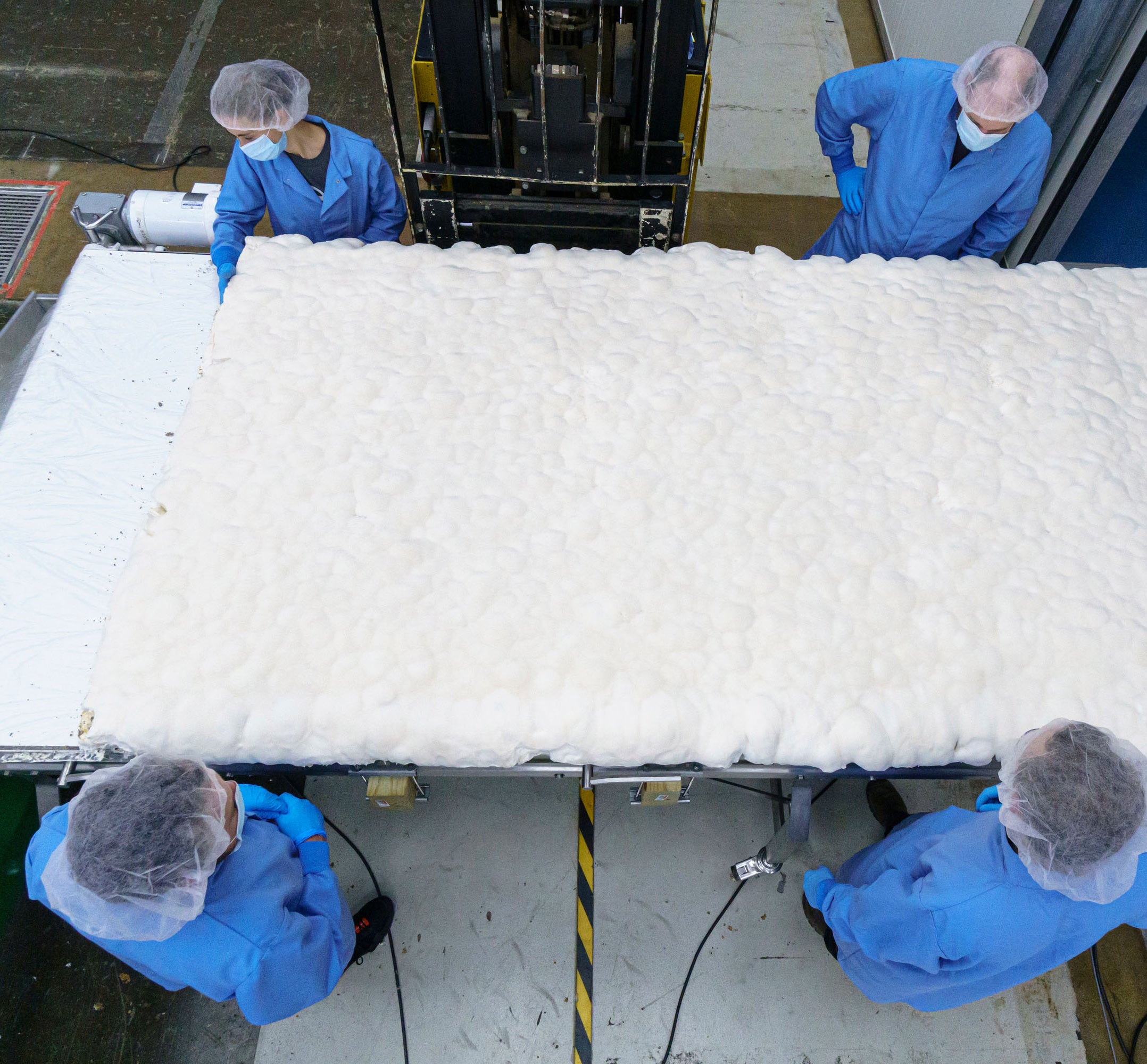 Ecovative and Mycelium — 15 Years Growing