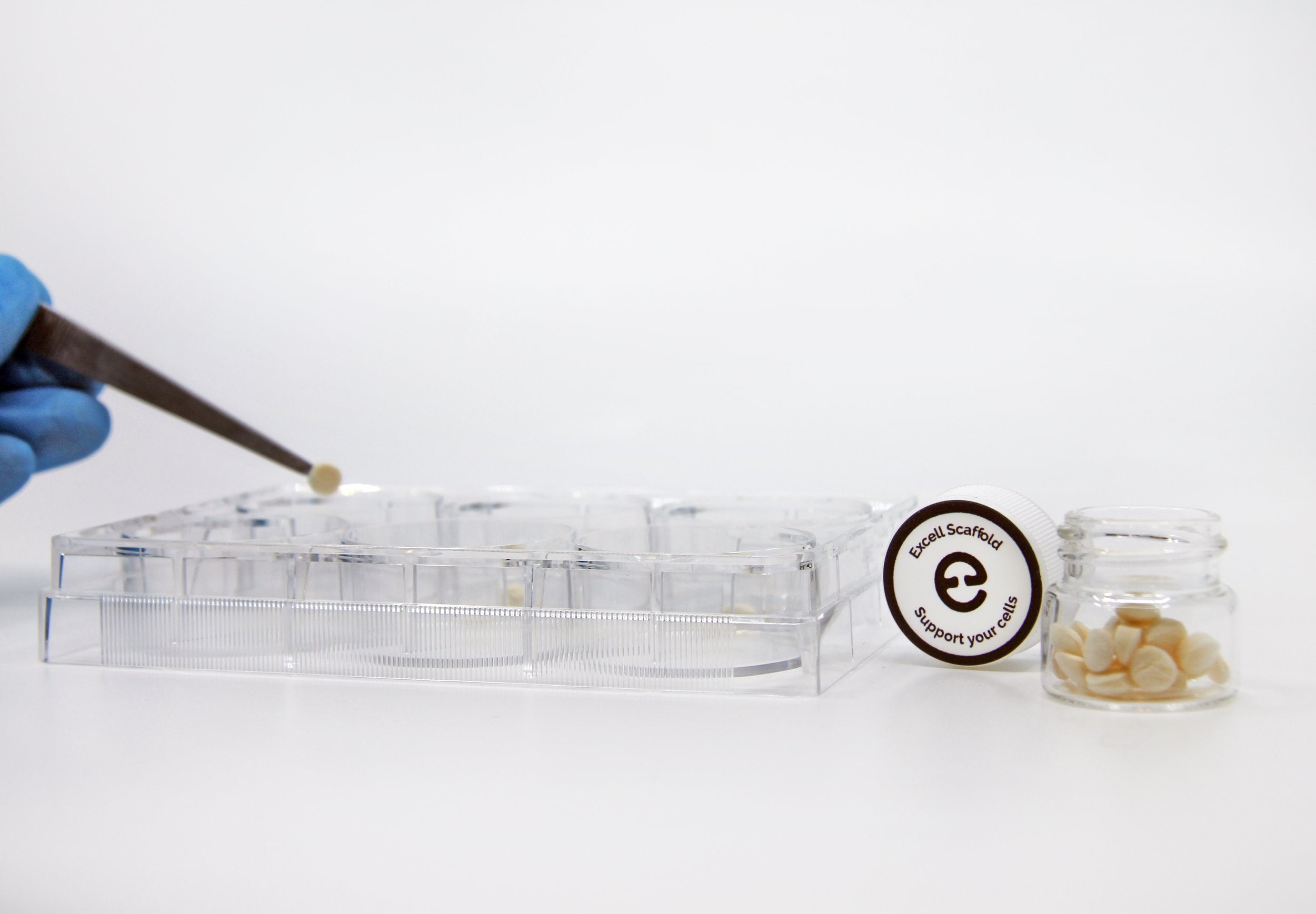 Excell-ing in the lab – Ecovative